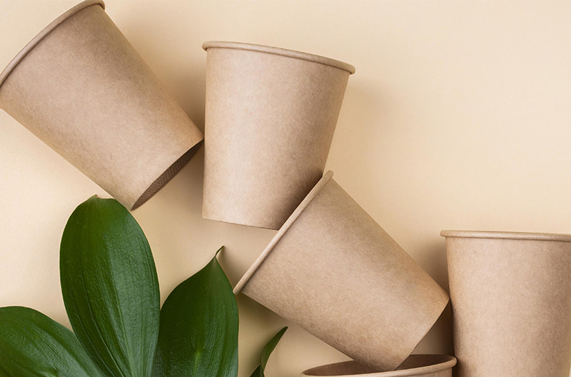 Basic principles and application scenarios of paper cup machines ...